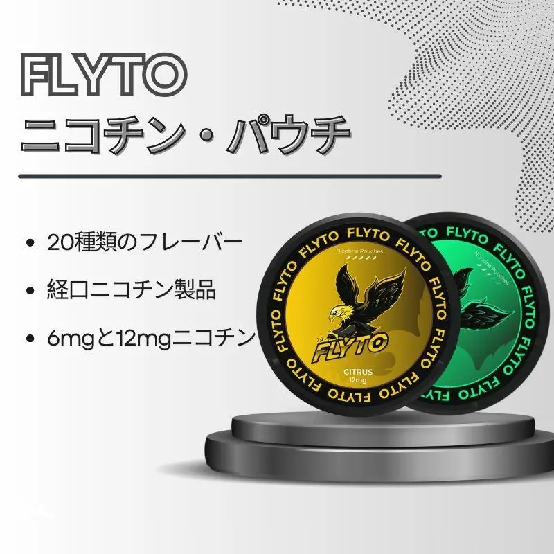 【VapePenZone Japan】FLYTOニコチン・パウチ | 激安価格598円